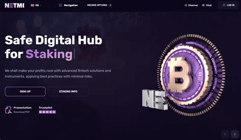 Netmi Review 2025 Is It Legit