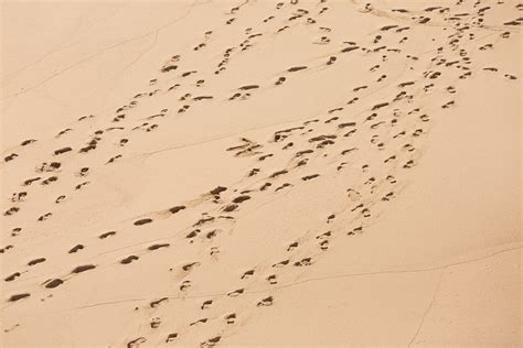 Spring Cloud Microservices — Part 4— Distributed Tracing With Sleuth