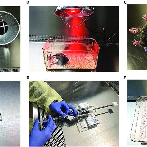 Hydrodynamic Injection A Reagents And The Apparatuses Needed For The Download Scientific