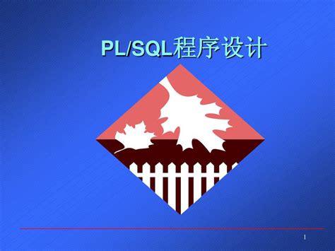PLSQL程序设计 word文档在线阅读与下载 无忧文档