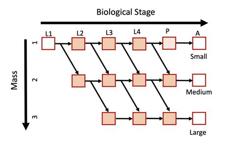 Model Formulation And Variations A Schematic Of Our Mathematical