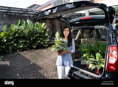 Woman With Plant And Tree In Her Car Trunk Stock Photo Alamy