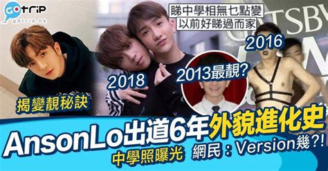 Anson Lo拉闊音樂會胃抽筋完場即走 出道6年變樣被質疑：version幾？ 娛樂 Gotriphk
