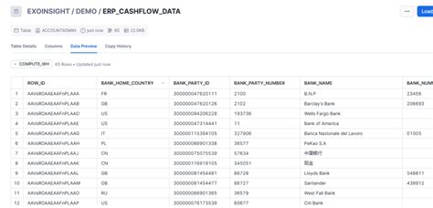 Use Custom SQL With Oracle Fusion Cloud ERP Casabase Software