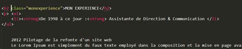 Problème Lien Fichier Html Css Par Emmanuellebetille Openclassrooms