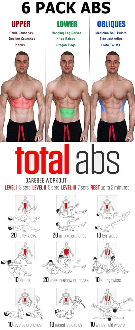 6 Pack Abs Picture And Guide