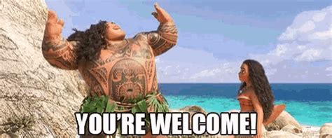 Moana You39re Welcome Meme My Memes Pinterest Moana Maui Saying Youre