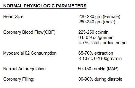 Cardiac Blood Flow O Consumption V Perfusion Com
