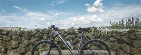 유토이미지 돌담길에 세워진 자전거가 있는 풍경