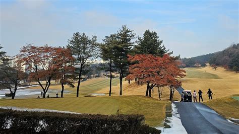 겨울 골프 ⛳️ 영상10도 한성cc 1월18일 한성cc 27홀 겨울골프 백순이 주말골퍼 여성골퍼 주말골퍼 초보골퍼