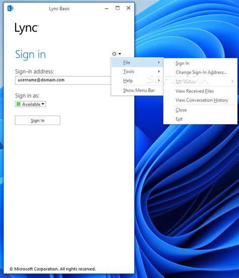 microsoft lync basic 2013 download softpedia