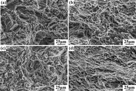 Fracture Analysis Of Extruded Mg Al Nd Alloys A Ae1 B Ae3 C Ae5 D Ae7 Download Scientific