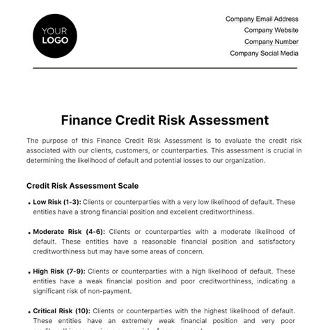Finance Credit Risk Assessment Template Edit Online And Download