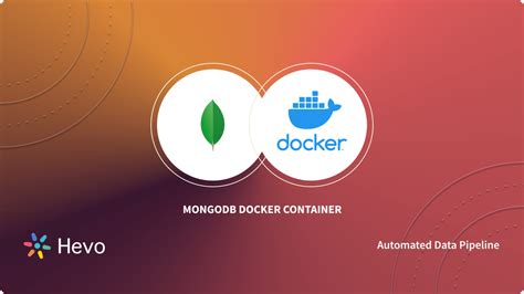 How To Run And Deploy Mongodb Docker Container Hevo
