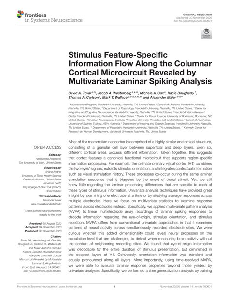 Pdf Stimulus Feature Specific Information Flow Along The Columnar Cortical Microcircuit
