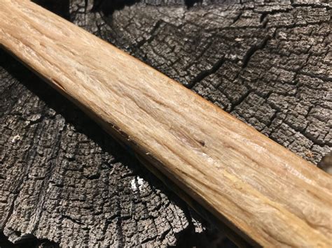 Making The Sinew Backed Bow Primitive Lifeways