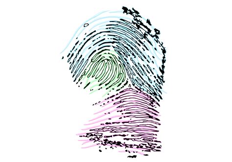 Types Of Fingerprints And What They Mean