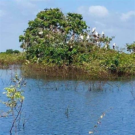 សហគមន៍អេកូទេសចរណ៍ព្រែកទាល់