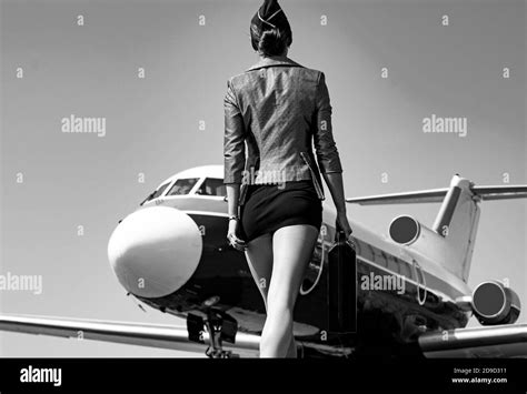Profession Stewardess Air Hostess Female Flight Attendant Air