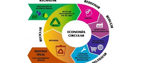 Por Qué La Economía Circular Es Clave Para Combatir El Cambio Climático