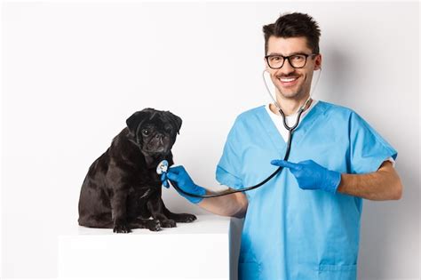 Фото Veterinarian, более 84 000 качественных бесплатных стоковых фото