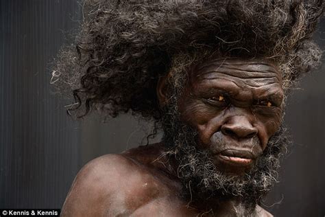 Homo Sapiens Evolution Tree