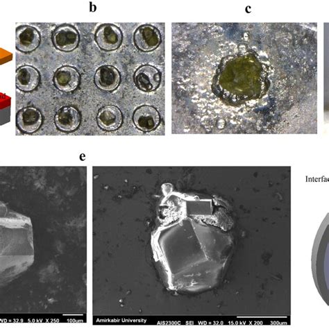 A Schematic Image Of Electroplating Setup And Microscopic Image Of B Download Scientific