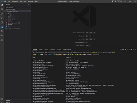 Getting Started With The Official Sailpoint Identitynow Powershell Sdk