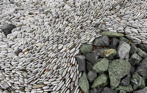 Tips For Landscaping Around Trees With Rocks
