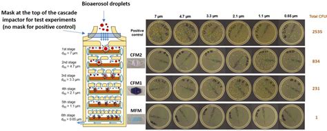 Left Schematic Of A Six Stage Viable Aci Yellow Airborne Particles Download Scientific