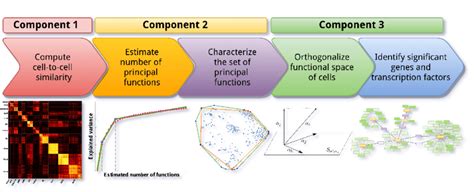 Overview Of Action Action Consists Of Five Main Steps I A Download Scientific Diagram