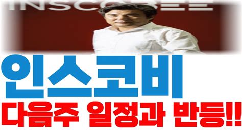 인스코비 앞으로 일정이 중요합니다 인스코비 인스코비대응전략 인스코비분석 인스코비목표가 Fda 아피메즈us Youtube