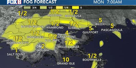 A Summer Like Weather Pattern Will Highlight The Work Week