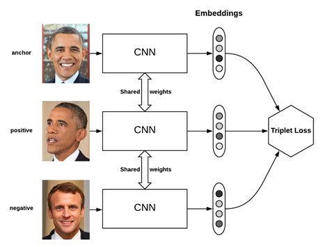 Review — Facenet A Unified Embedding For Face Recognition And Clustering By Sik Ho Tsang Medium
