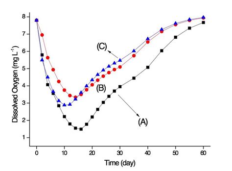 Simulations Of The Dissolved Oxygen Concentrations During The Filling Download Scientific