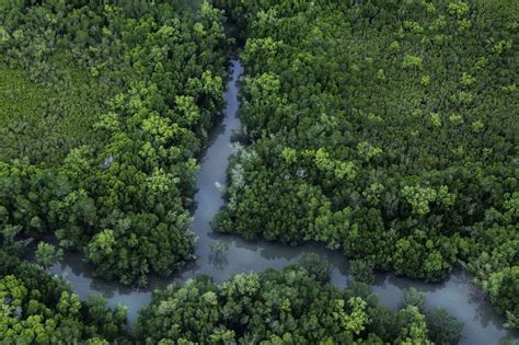 Undrip In Australia — Antar