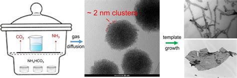 Angewandte Chemie International Edition Vol 61 No 47