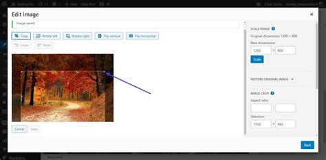 How To Set A Featured Image In Elementor Themewaves