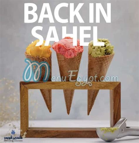 Menu Delivery Hotline 01288883638 Mandarine Koueider منيو ورقم