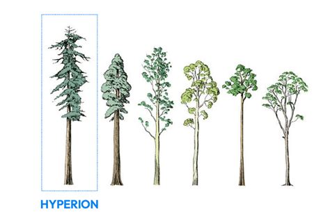 Memo 2024 A Message From The Founder Partoo