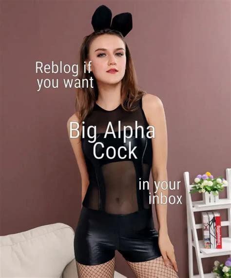 Im In Need Of Alpha Cock Scrolller