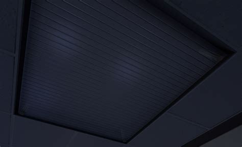 feature new parameter for entity light which will remove this entity