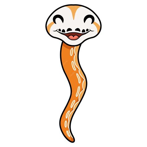 Premium Vector Cute Albino Sunfire Tiger Het Genetic Stripe Reticulated Python