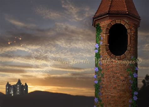 Rapunzel Tower Digital Backdrop Etsy Australia Digital Backdrops Digital Photography