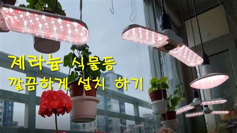 제라늄식물등깔끔하게 설치하기 Youtube