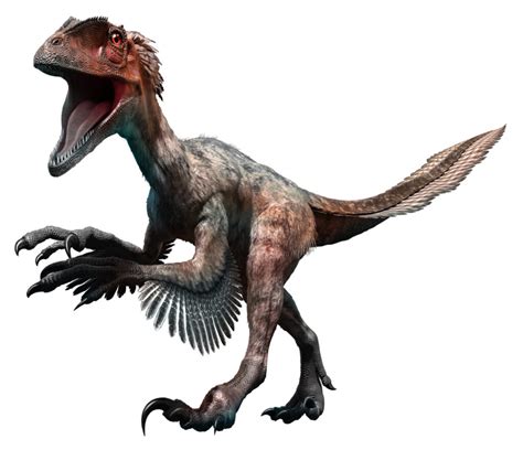 Bizarre Facts About Deinonychus The Terrible Claw The Nature Network