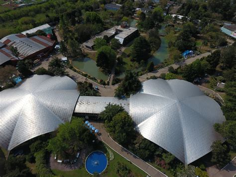 Escobar Se Prepara Para La Fiesta Nacional De La Flor Con Una Grilla Musical De Lujo