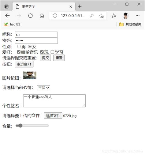 html网页设计：十一、表单 html网页表单设计 csdn博客