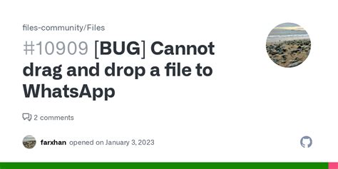 Bug Cannot Drag And Drop A File To Whatsapp · Issue 10909 · Files