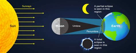 Solar Eclipse STAR Net